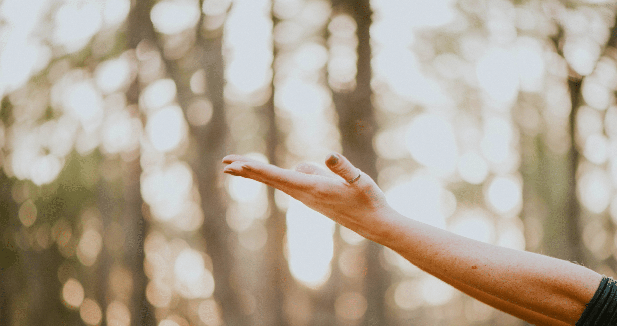 Customer Stories - Healing Harbors